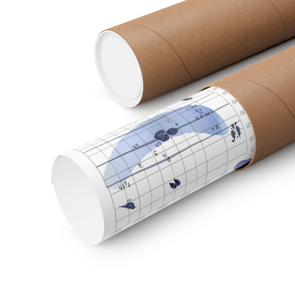 Audiogram of Familiar Sounds Print Audiology Watercolor Poster Ear Nose ...