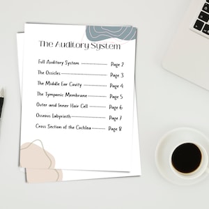 Anatomy of Speech, Language, Hearing Digital Stickers and Workbook ...