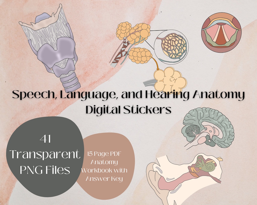 Anatomy of Speech, Language, Hearing Digital Stickers and Workbook ...