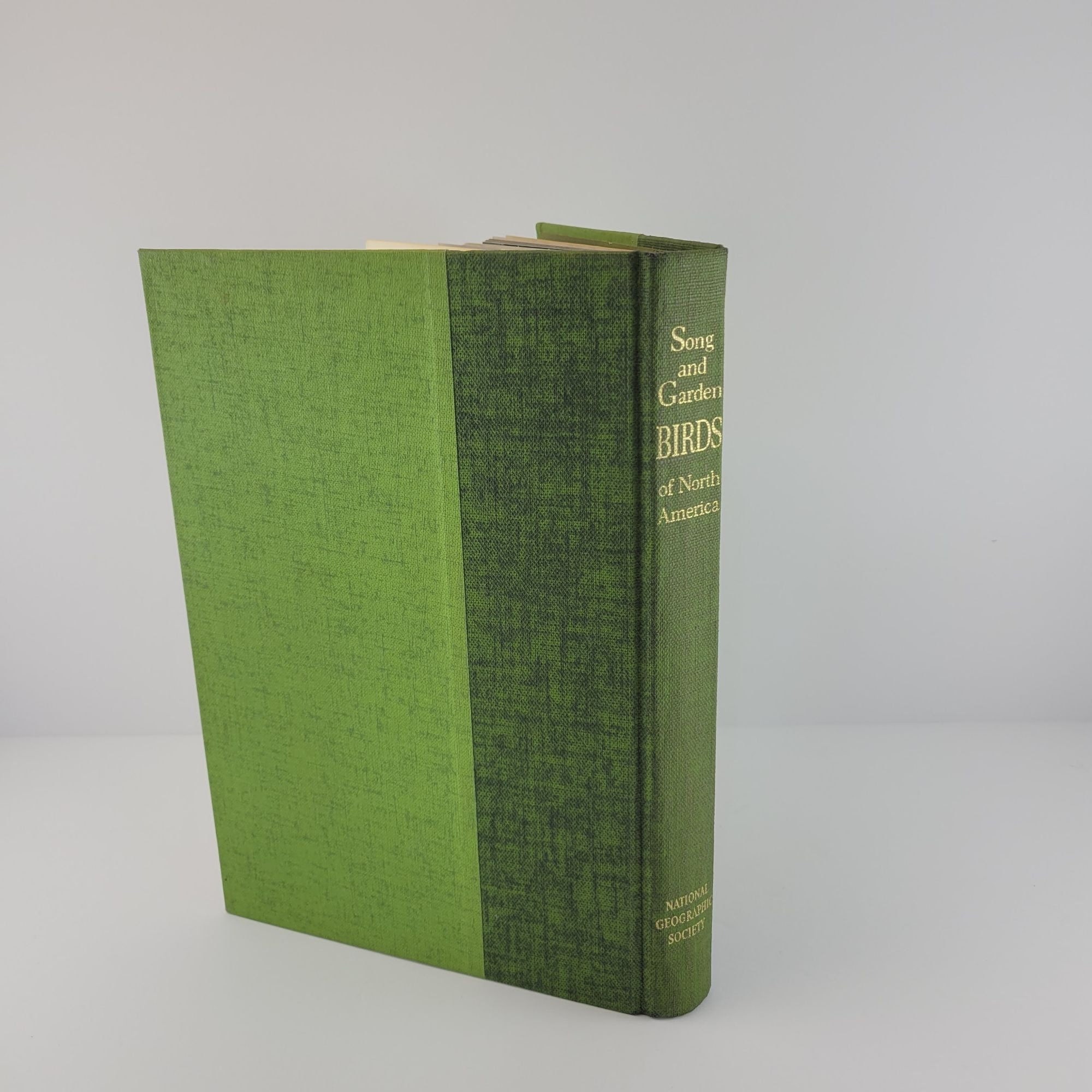 Song and Garden Birds of North America by Alexander Wetmore Vintage ...
