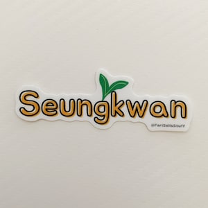 SVT Member Stickers | Kpop Sticker - Etsy