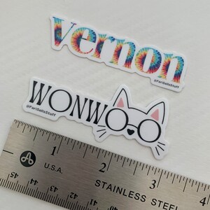 SVT Member Stickers | Kpop Sticker - Etsy