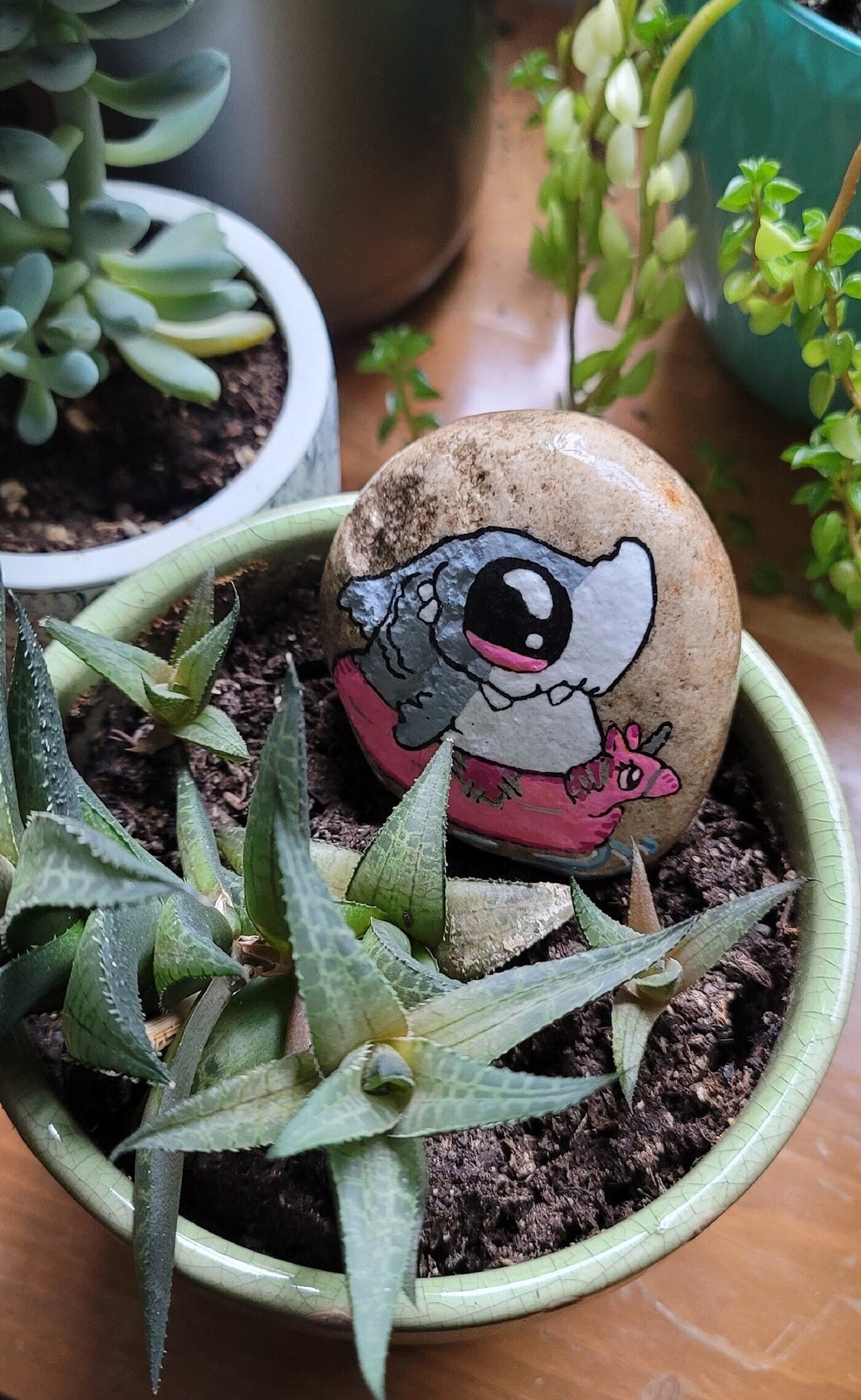 Shark in Unicorn Innertube / Painted Rock - Etsy
