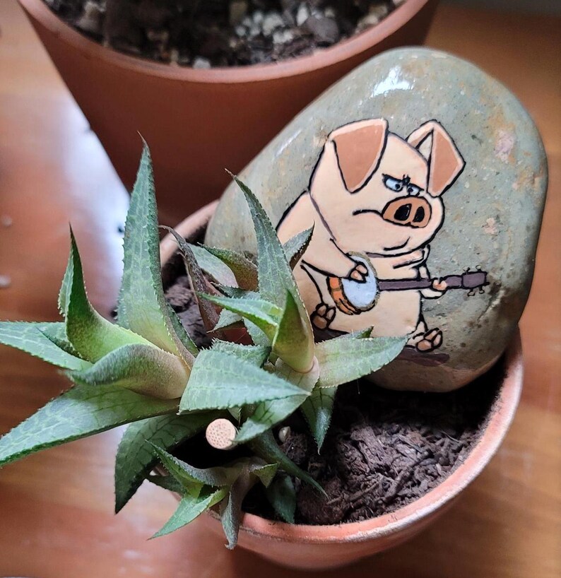 Banjo Pig / Painted Rock - Etsy