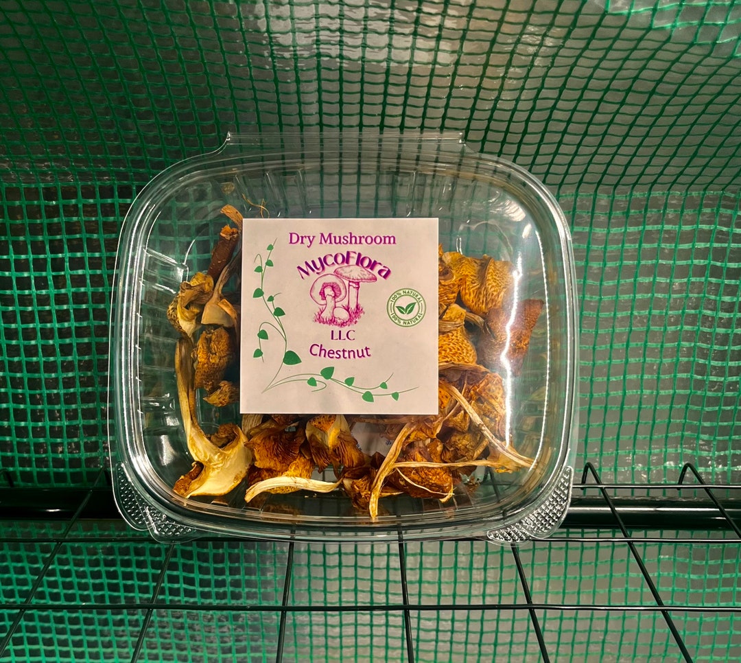Dry Chestnut Mushrooms - Etsy