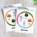 Four Seasons COMPLETE Printable Resources Pack, Montessori, Spring ...