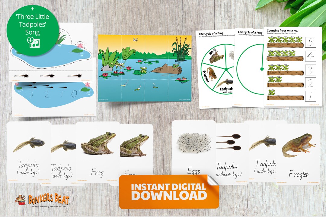 Frog Life Cycle Printable Resources Pack/ Three Little Tadpoles/ Music ...