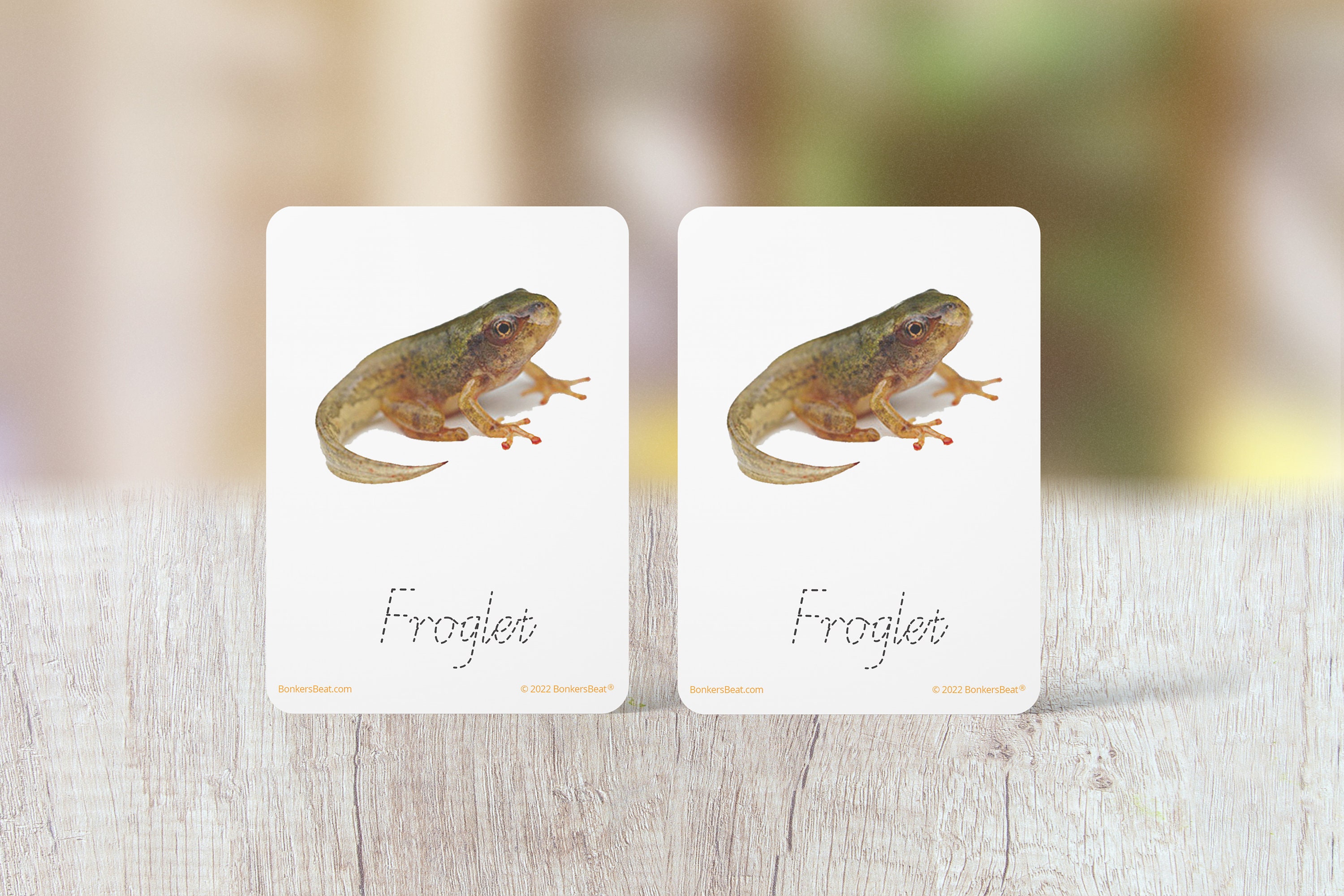 Frog Life Cycle Printable Resources Pack/ Three Little Tadpoles/ Music ...