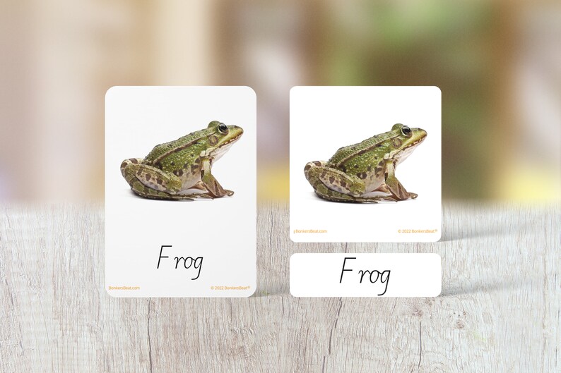 Frog Life Cycle Printable Resources Pack/ Three Little Tadpoles/ Music ...