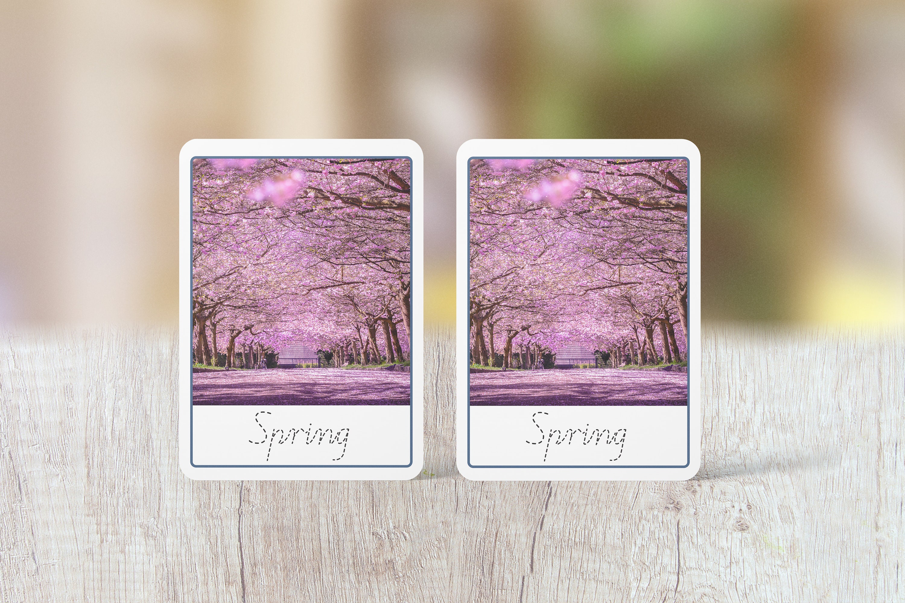 Four Seasons COMPLETE Printable Resources Pack, Montessori, Spring ...