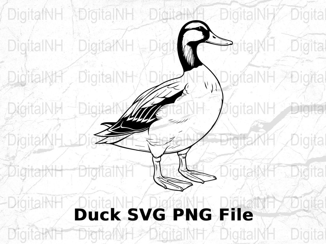 Duck SVG File for Cricut, Duck Silhouette Clip Art, Bird Vector ...