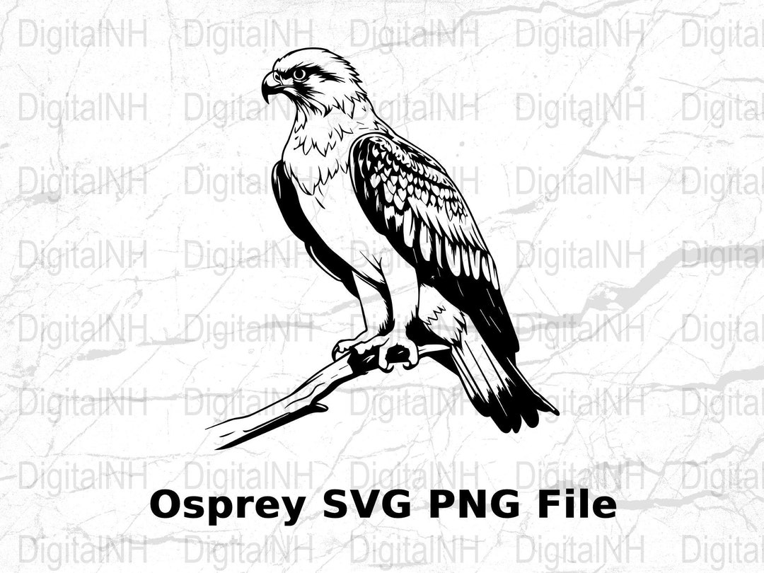 Majestic Osprey SVG: Perched Bird Clipart (digital Download) - Etsy