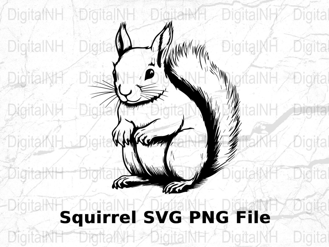 Cute Squirrel SVG File, Digital Download, Forest Animal Clipart, DIY ...