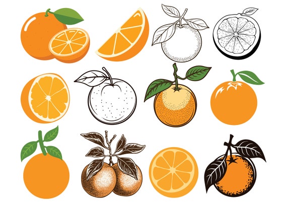 Orange Outline Clip Art