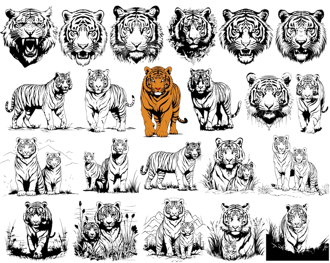 23 Tiger SVG PNG Bundle, Tiger SVG, Tiger Cub Svg, Fearsome Tiger Svg ...