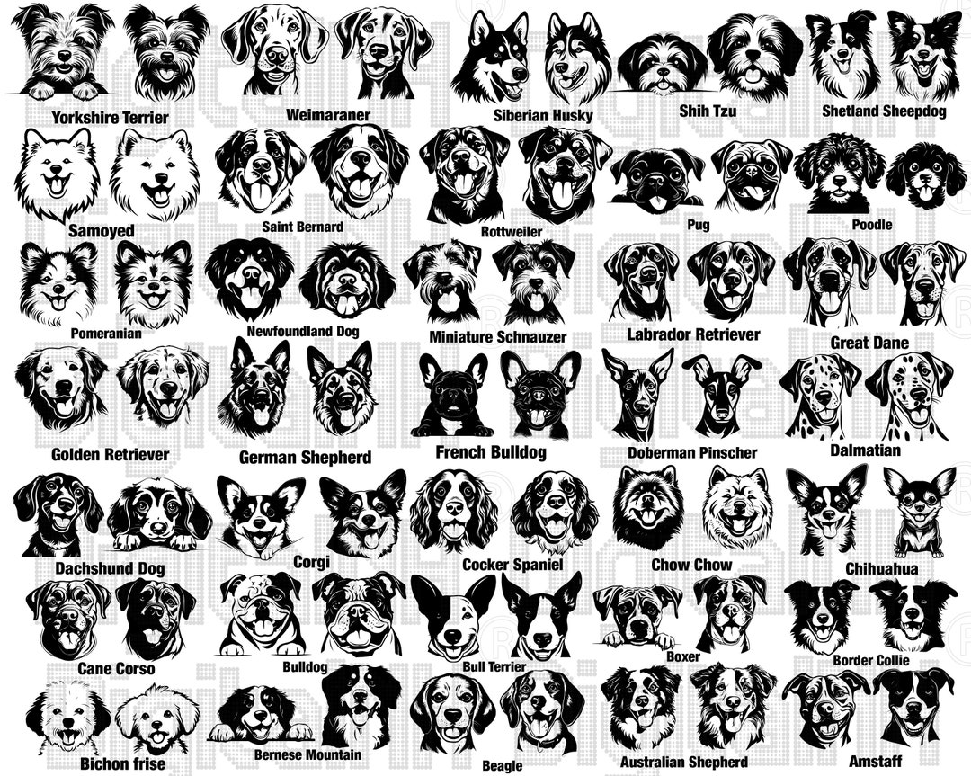 70 Dog Breeds SVG PNG Bundle: Playful Dog Portraits (digital File) - Etsy