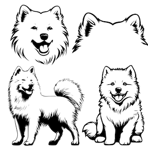 Samoyed Dog SVG PNG Bundle, Samoyed Puppy Svg, Samoyed Dog Ear Svg ...