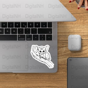 Cute Bush Baby SVG, Tarsier Svg, Eye Eye Svg, Adorable Wildlife Animal ...