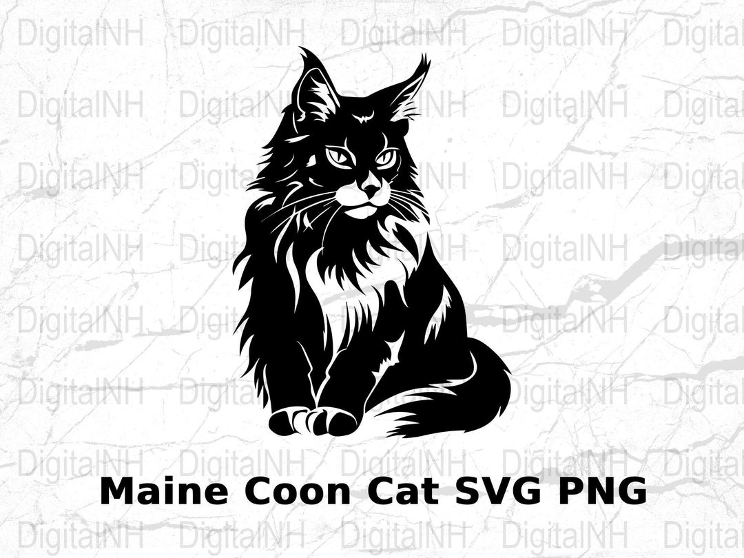 Majestic Fluffy Maine Coon Cat SVG, Digital Download Feline Silhouette ...