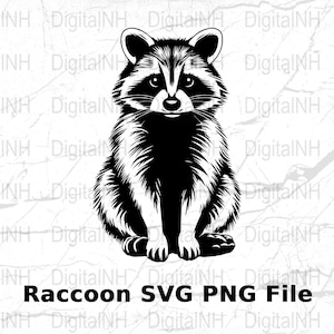 Digital Raccoon SVG File, Cute Woodland Animal PNG, Instant Download ...