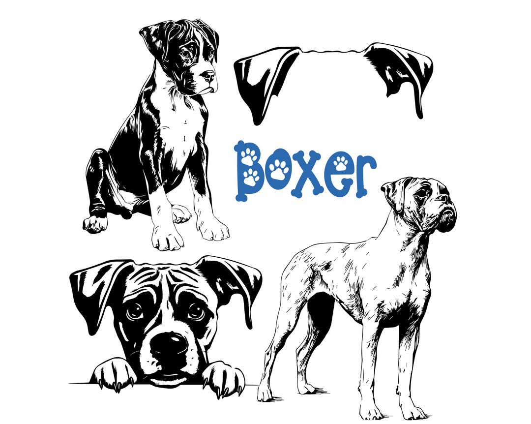 Boxer SVG PNG Bundle, Boxer Svg, Boxer Dog Svg, Dog Ear Svg, Playful ...