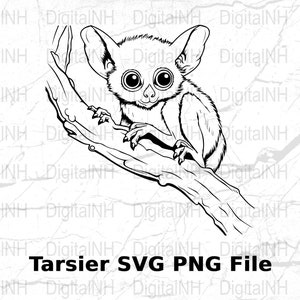 Cute Bush Baby SVG, Tarsier Svg, Eye Eye Svg, Adorable Wildlife Animal ...