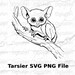 Cute Bush Baby SVG, Tarsier Svg, Eye Eye Svg, Adorable Wildlife Animal ...