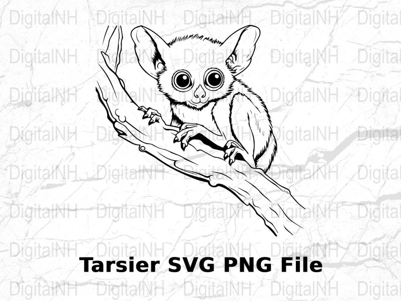 Cute Bush Baby SVG, Tarsier Svg, Eye Eye Svg, Adorable Wildlife Animal ...