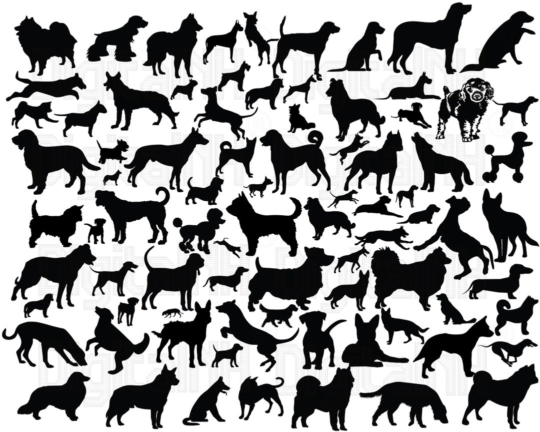 82 Dog Breed SVG Bundle, Dog SVG, Dog Silhouette, Dog Breeds SVG, Puppy ...