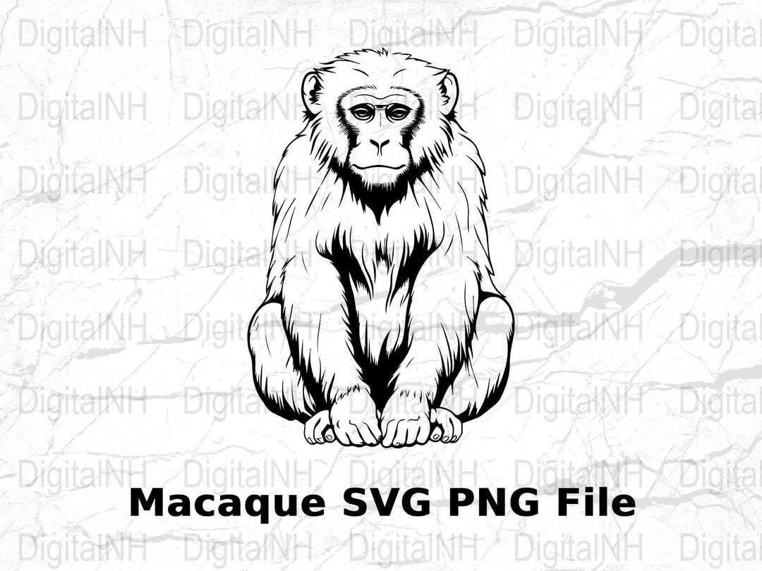 Monkey SVG, Macaque Svg, Wildlife Vector Art, DIY Craft File, Printable ...