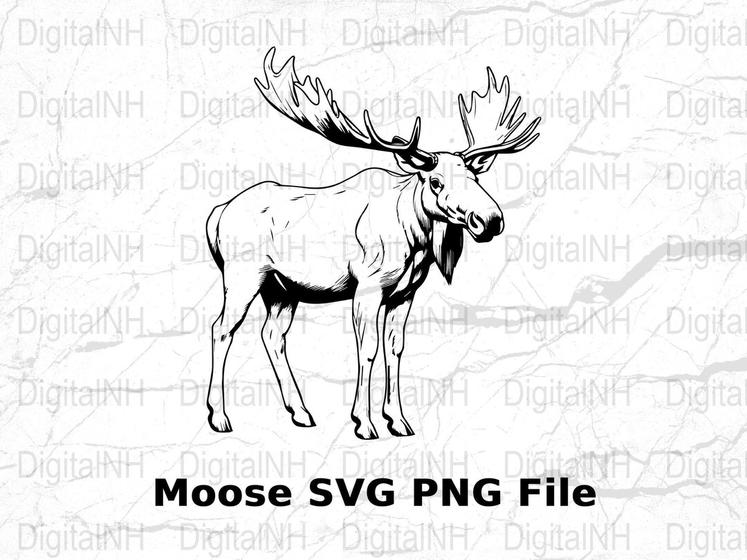 Majestic Moose SVG Art, Digital Download, Large Antler Moose PNG File ...