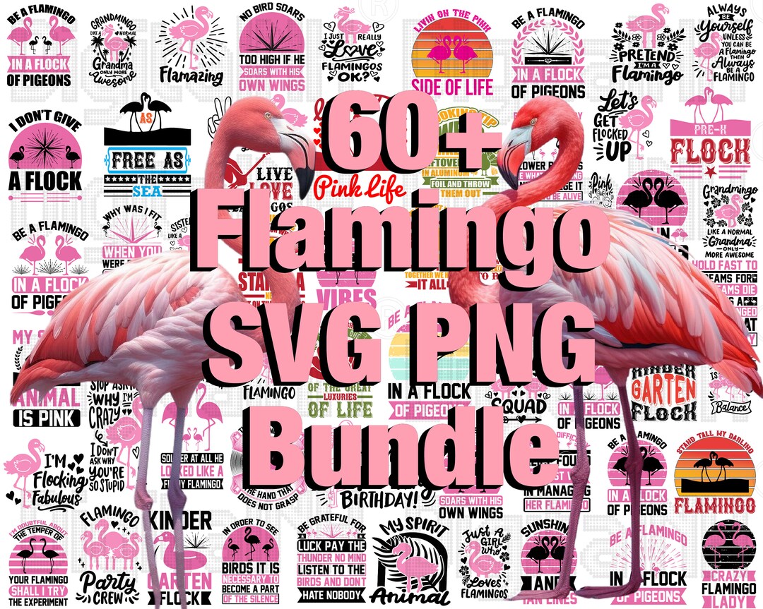 60+ Flamingo SVG PNG Bundle: Summer Designs (digital File) - Etsy