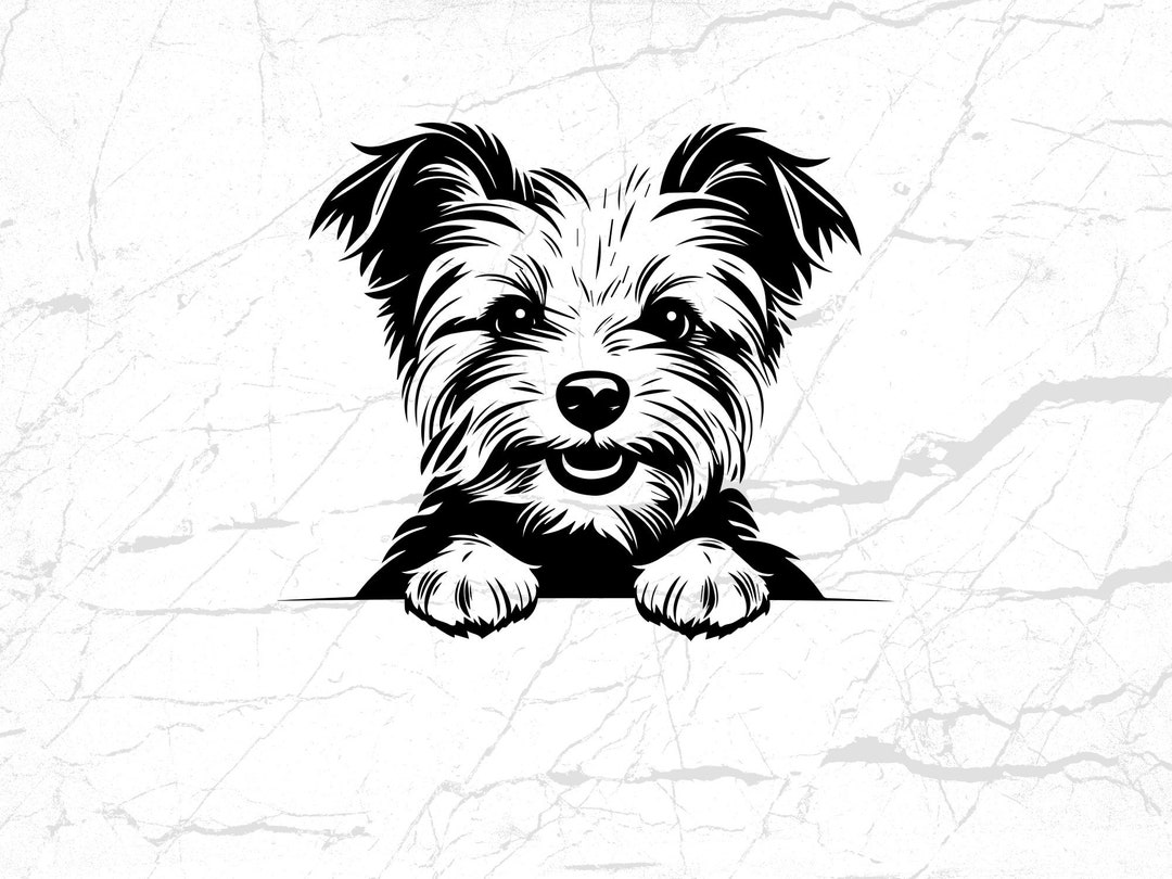 Cute Yorkie Dog SVG File, Digital Download, Pet Lover PNG, Animal ...