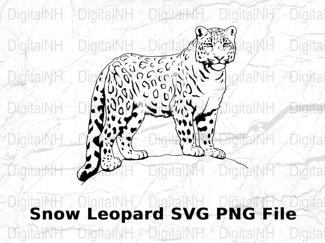 Snow Leopard SVG File, Digital Download, Wildlife Vector Art, Jungle ...