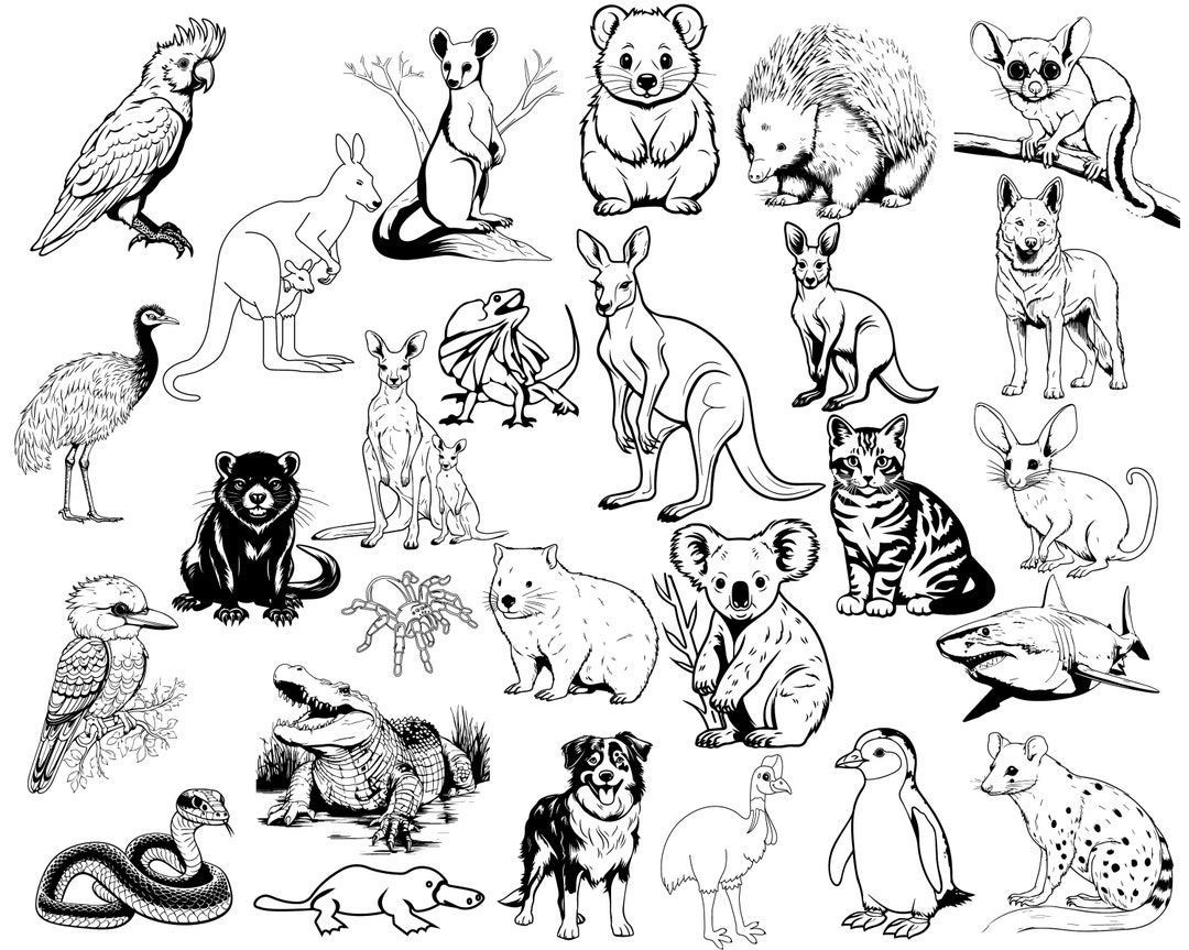 25 Australian Animals SVG PNG Bundle, Australian Animal Species Svg ...