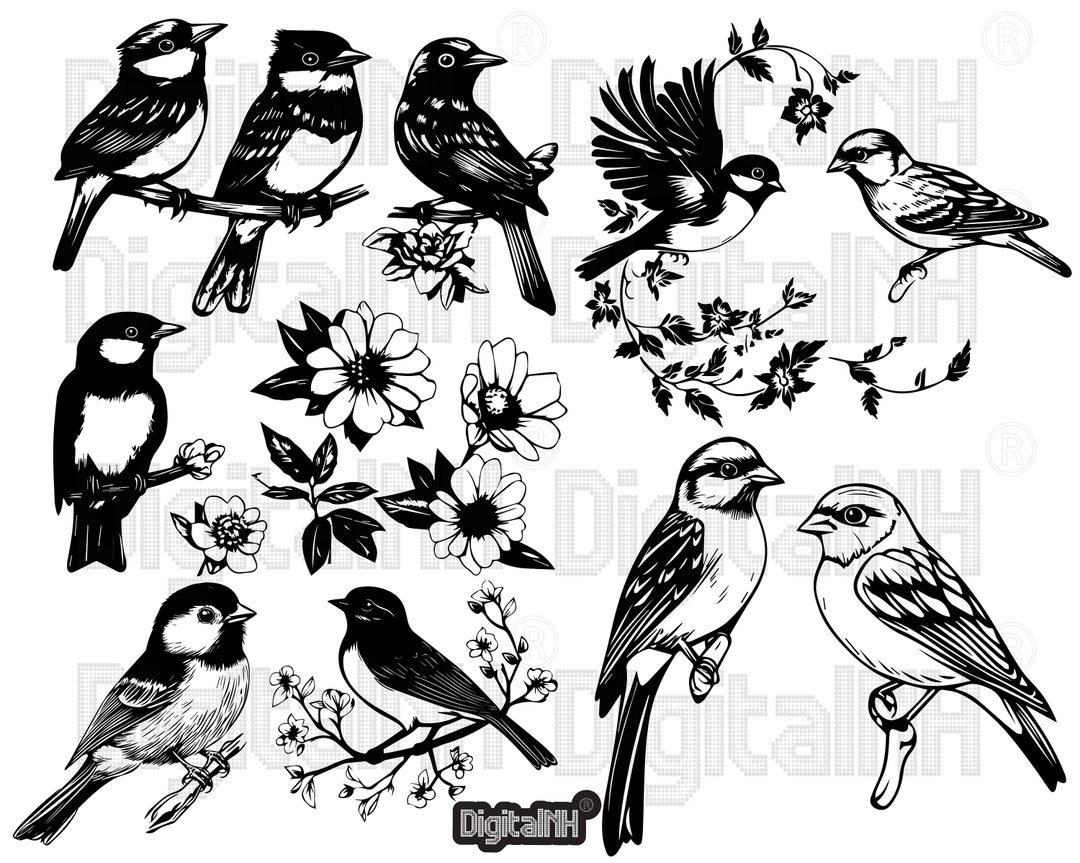 Birds SVG PNG Bundle, Bird SVG, Sparrow Svg, Swallow Svg, Blackbird Svg ...