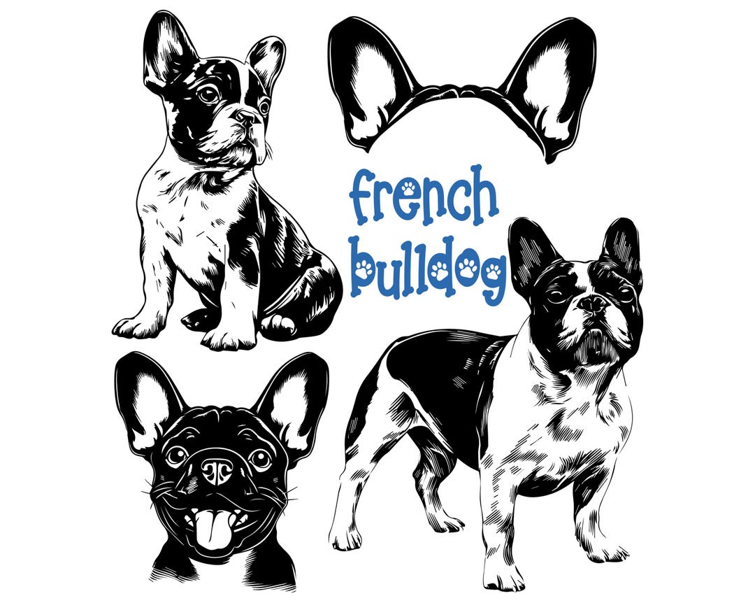 French Bulldog SVG PNG Bundle: Playful Frenchie Dog Designs (digital ...