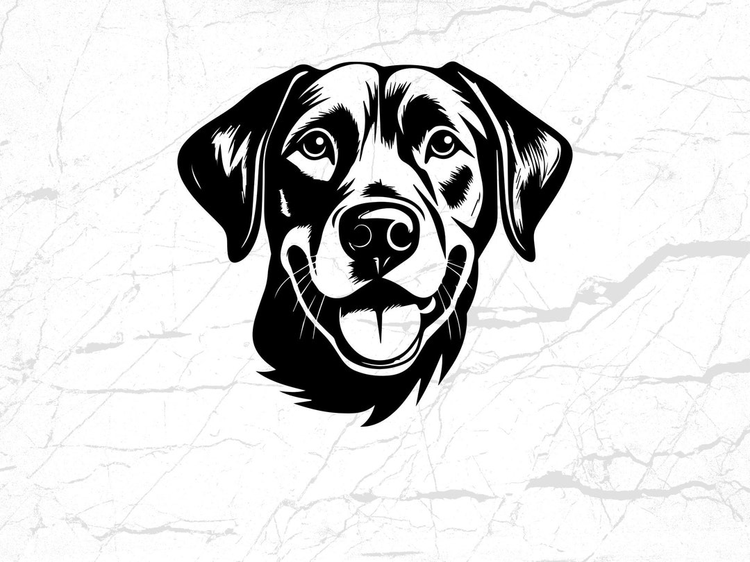 Labrador Retriever SVG File for Cricut, Dog Silhouette Digital Download ...