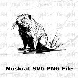 Muskrat SVG, Digital Download Nutria Illustration, SVG File for Cutting ...