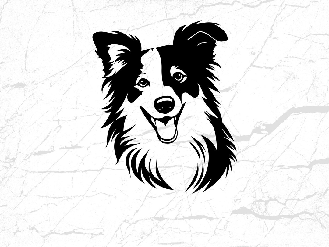 Border Collie SVG, Dog Vector Image, Digital Download for Cricut, Pet ...