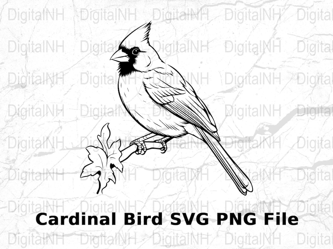 Cardinal Bird Line Art, Digital SVG and PNG File for Download ...