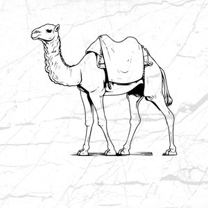 Camel SVG File for Download, Digital Camel PNG, Desert Animal Clipart ...