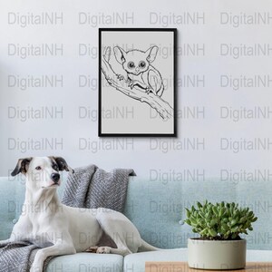 Cute Bush Baby SVG, Tarsier Svg, Eye Eye Svg, Adorable Wildlife Animal ...