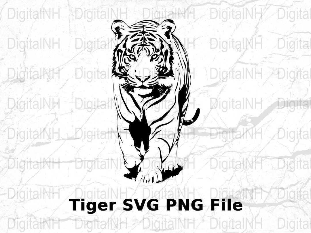 Fierce Tiger SVG File, Digital Download Cut File, PNG Tiger Clipart ...