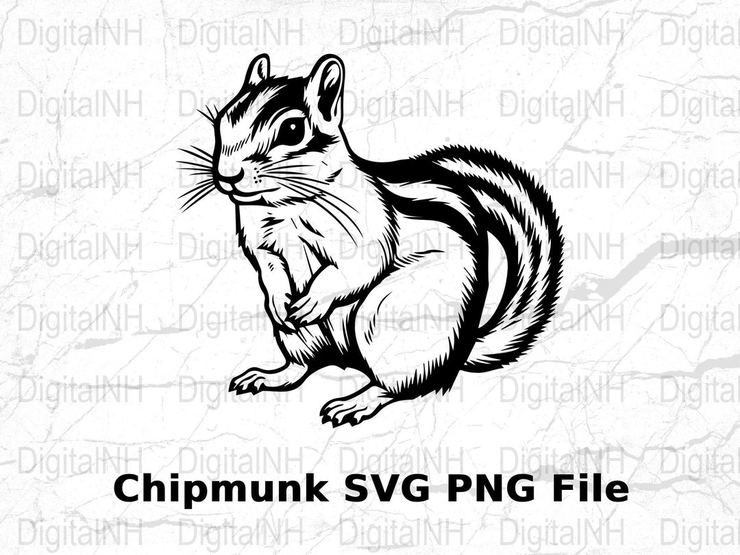 Chipmunk SVG File, Cute Woodland Animal Clipart, Digital Download PNG ...