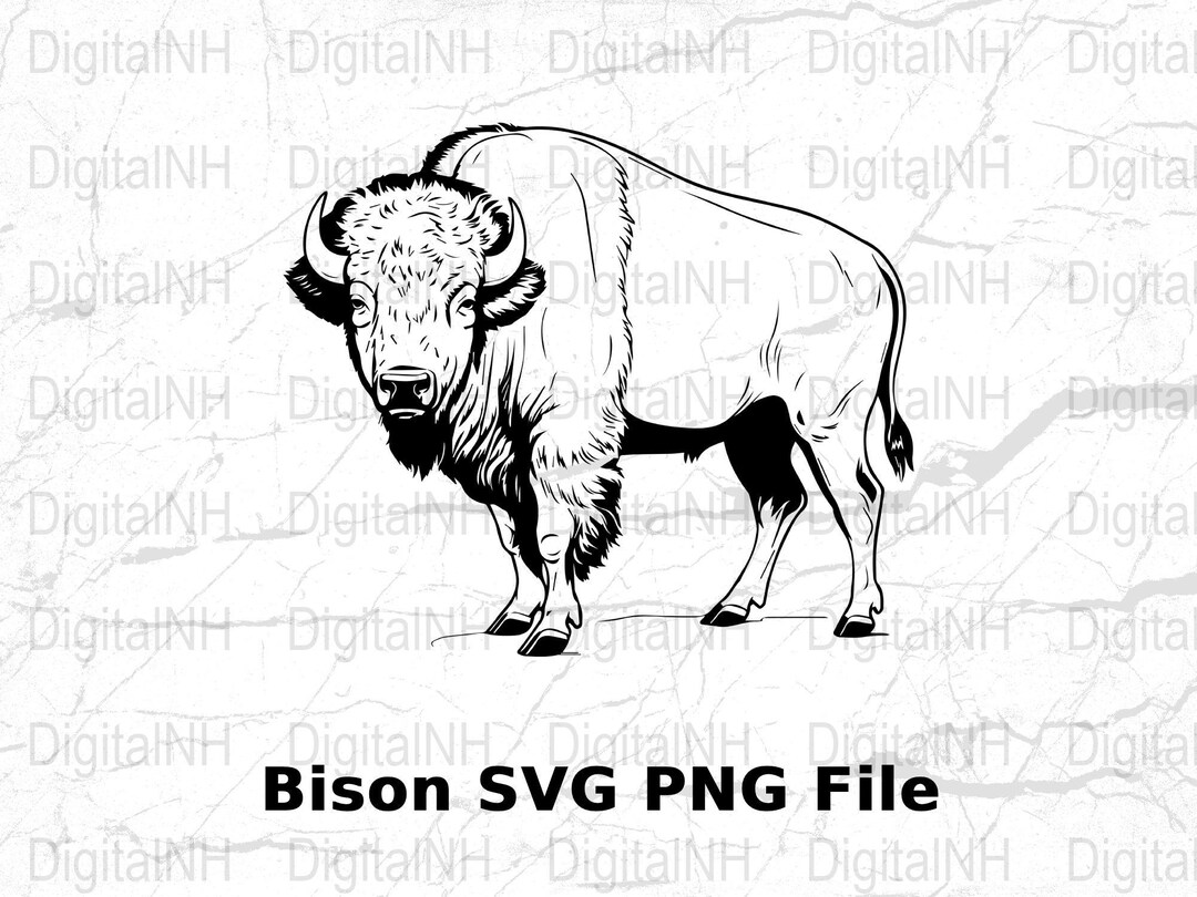 Bison Vector Art SVG, Digital Bison Illustration PNG Download, Animal ...