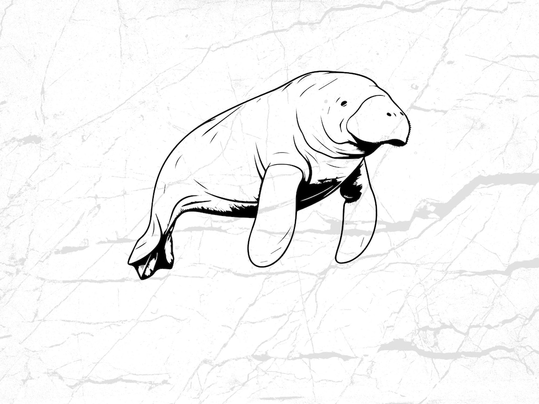 Manatee SVG File for Cricut, Ocean Animal Clipart, Digital Download ...