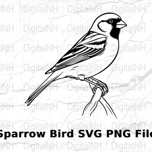 Digital Download Bird SVG File, Sparrow Line Art, PNG Clipart, Vector ...