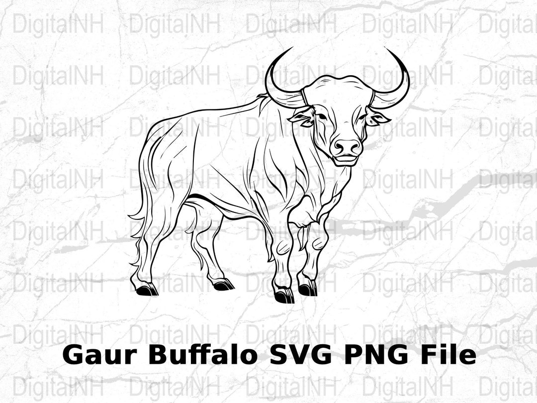 Gaur Buffalo SVG File, Digital Download, African Wildlife Line Art ...