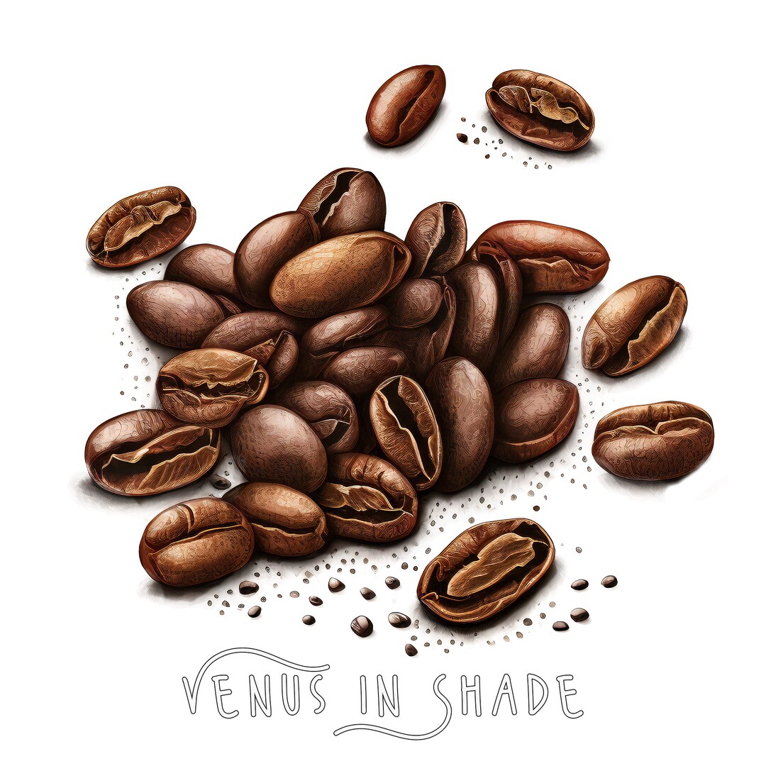 Coffee Beans Java Mocha Barista French Press Coffee Cherry - Etsy